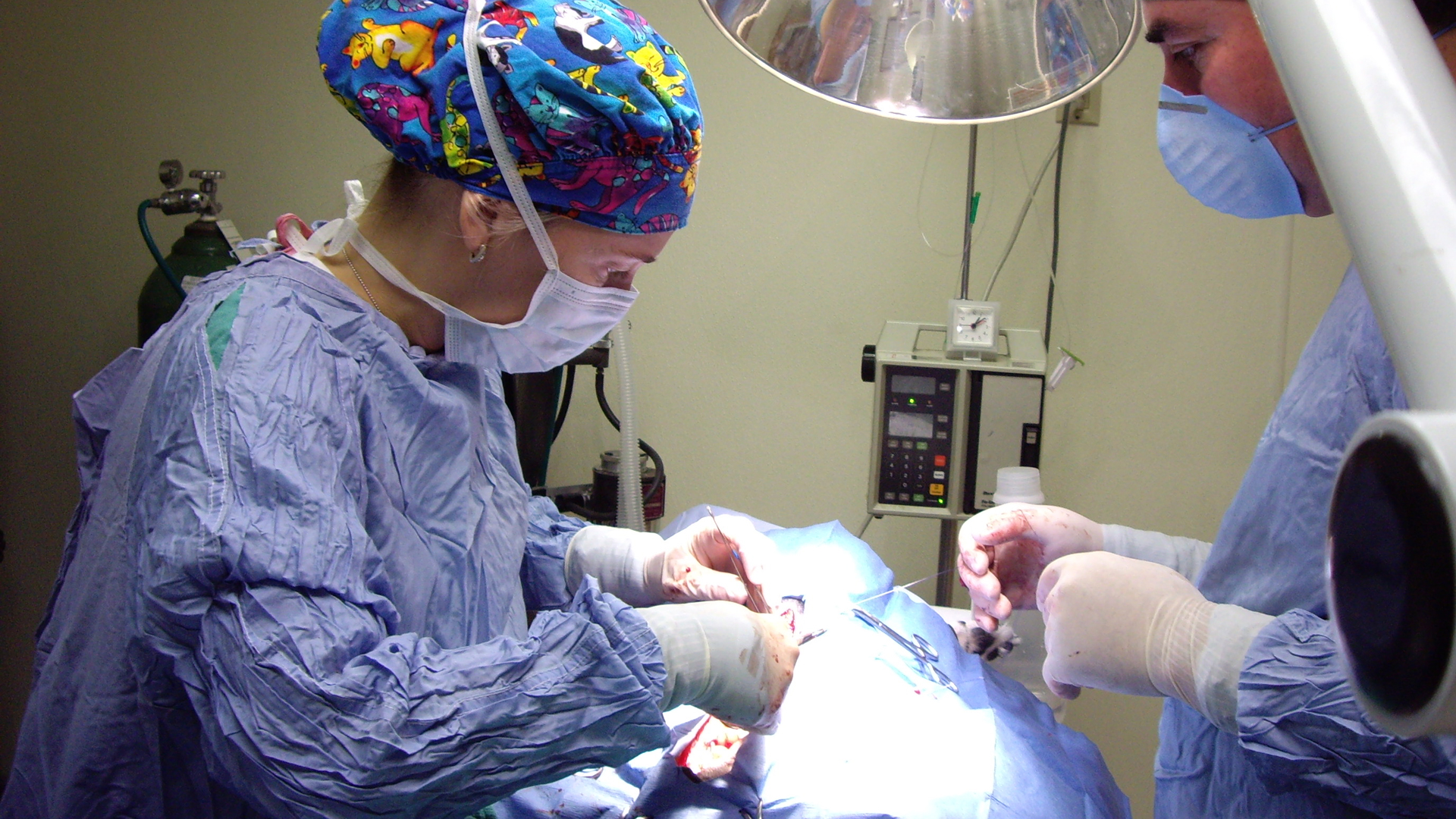 Ask Dr. Lisa