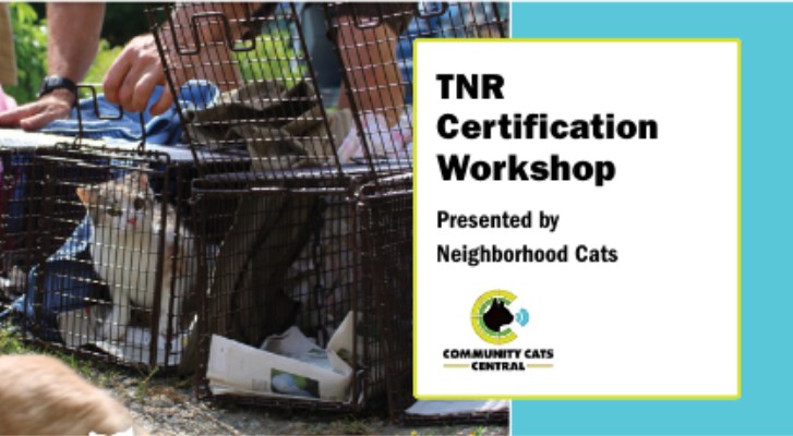 The Neighborhood Cats TNR Certification Workshop is now available on ...